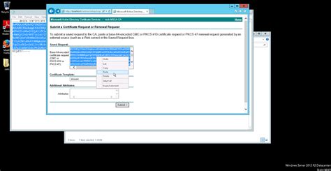 Vmware Vcenter Ssl Certificate 101