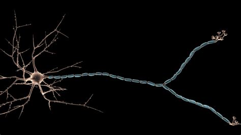 Open Source Neuroscience Hardware Hack Chat Hackaday