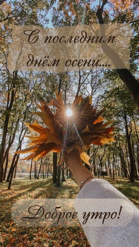 Доброе утро Последний день осени Доброе утро Осень Галерея