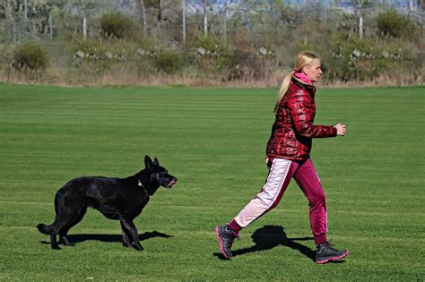 Blonde Woman Dog Black Free Photo On Pixabay Pixabay