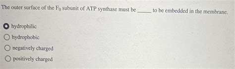 Solved The Outer Surface Of The F0 Subunit Of ATP Synthase Chegg Com