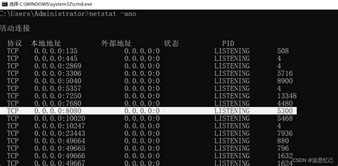 严重 Failed To Initialize End Point Associated With Protocolhandler “ Bio 8080“ 问题解决方案 Csdn博客
