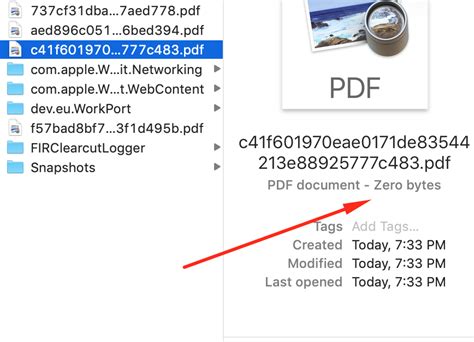 ios simulator base64 problem load error load pdf failed · issue