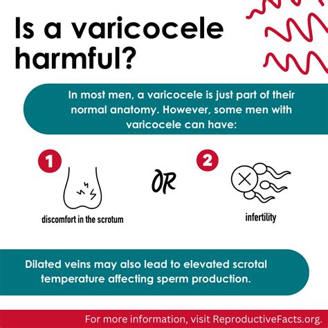 Understanding Varicocele Causes And Symptoms Andrology Institute Of America