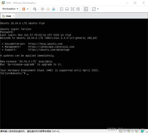 【ubuntu】smbus Host Controller Not Enabled（虚拟机进入不了图形界面） Csdn博客