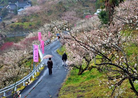 第15回五條市観光協会フォトコンテストの入賞者が決まりました五條市