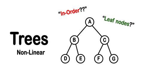 Trees Data Structures And Algorithms Youtube