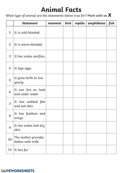 Free Science Classifying Worksheet Download Free Science Classifying Worksheet Png Images Free