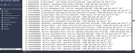 Dad 220 Module 5 2 Activity Rsnhu