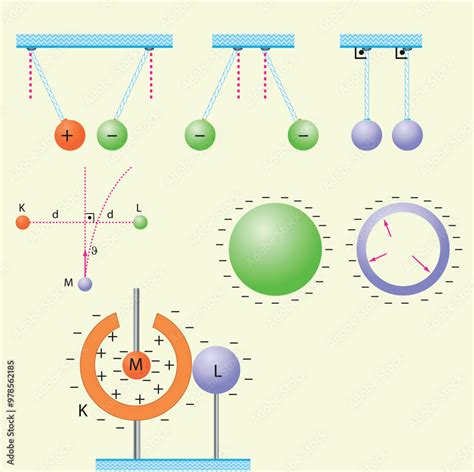 Optics Reflection Lesson Forms Light Reflection Infographic Diagram With Example Of Light