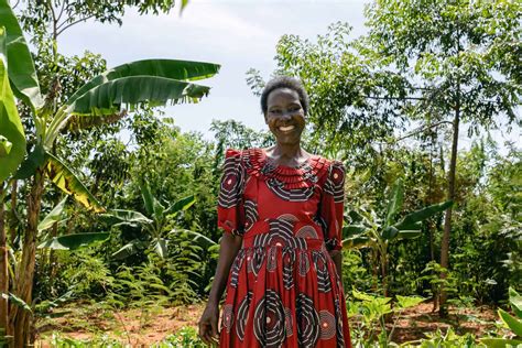 Trees For The Future Planting Today For A Greener Tomorrow