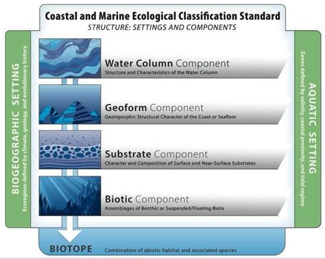 Below Shows The Various Elements Of The Cmecs Framework Each Element Download Scientific