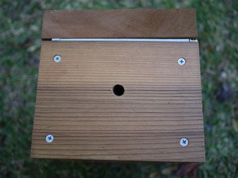 Native Bee Hive Design 2 Australian Native Bee