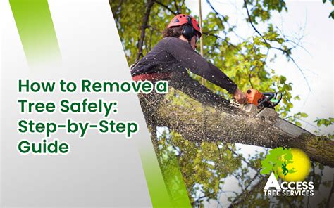 How To Remove A Tree Safely A Step By Step Guide