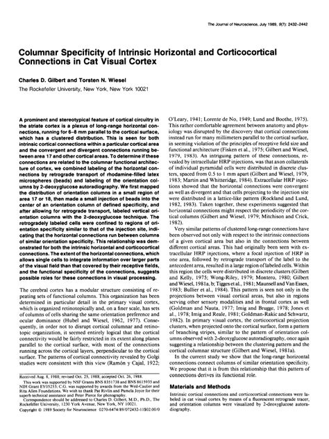 Columnar Specificity Of Intrinsic Horizontal And Corticocortical Connections In Cat Visual
