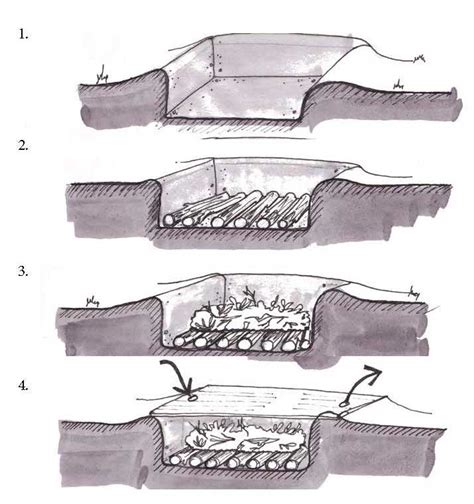 Experimental Biochar Trench On Campus The Conway Babe