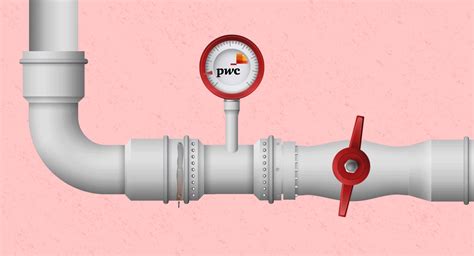 The Who What When Where And Why Oh Why Of PWCs