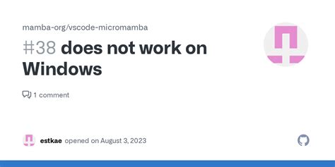 Does Not Work On Windows Issue 38 Mamba Org Vscode Micromamba GitHub