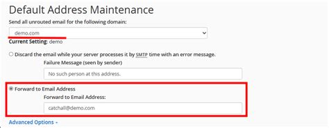 Catch All Email Address In CPanel