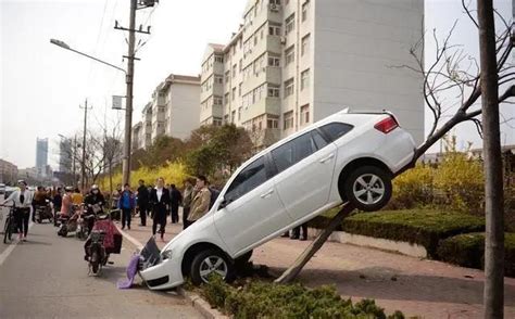 剎車失靈時，到底是撞樹安全，還是撞牆安全？很多人都不知道 禁聞網