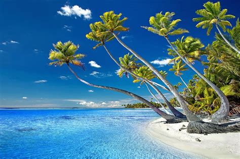 Hspのあなたは何年もの間、続けてきた趣味は何ですか カウンセリングとコーチングのhsp支援委員会