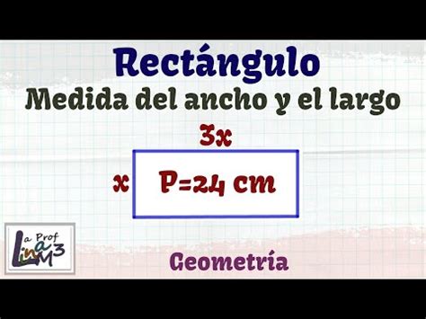 Dimensiones Y Medidas ¿cuál Es El Ancho Y El Largo Adecuado