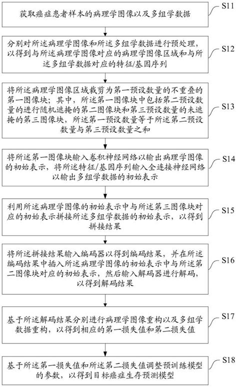 癌症生存预测方法、模型预训练方法及装置 2