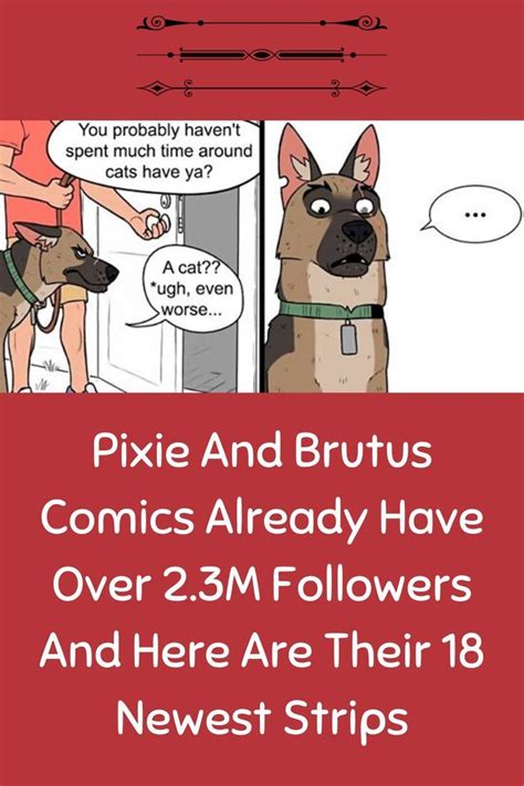 Pixie And Brutus Comics Already Have Over 2 3m Followers And Here Are