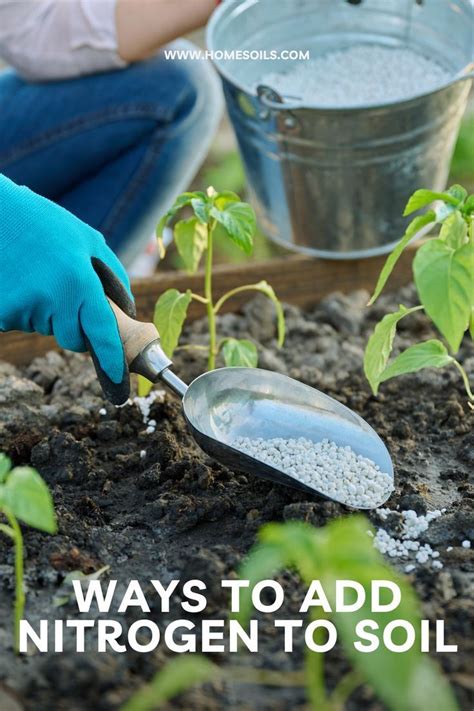 How To Add Nitrogen To Soil Artofit