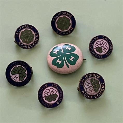 4h Lapel Pins Etsy