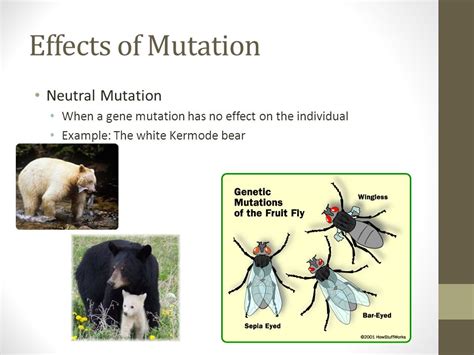 Neutral Mutation
