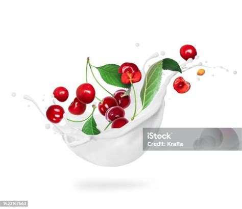 우유에 나뭇잎이있는 체리가 흰색 배경에 고립 된 클로즈업을 튀깁니다 거품 내기에 대한 스톡 사진 및 기타 이미지 거품 내기 건강한 식생활 따르기 Istock