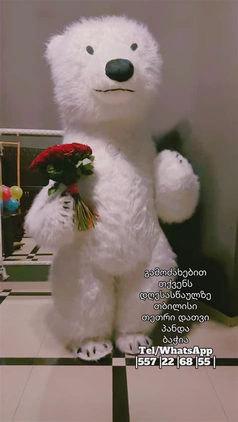 თეთრი დათვი პანდა ბაჭია ვარდისფერი დათვი თქვენს დღესასწაულაზე დეტალებზე შესათანხმებლად