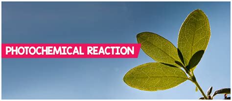 Photochemical Reaction Definition And Theoretical Concepts