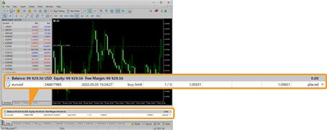 Place Limitstop Order On The Depth Of Market Metatrader45 User Guide Myforex™