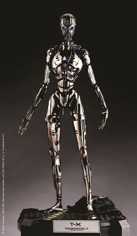 The Terminator 3 Robot