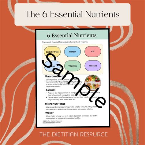 The 6 Essential Nutrients Handout The Dietitian Resource