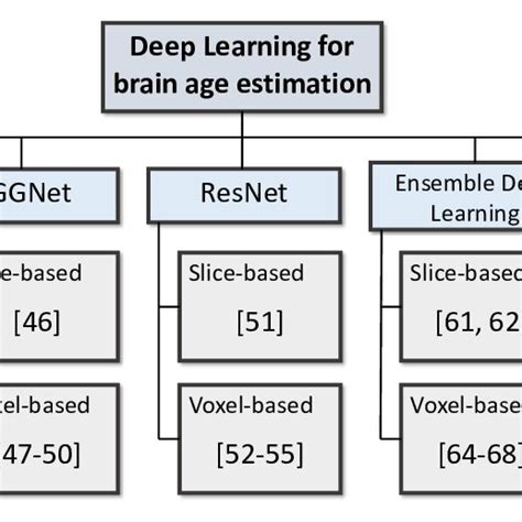 Literature Taxonomy Of Deep Learning Models Applied To The Estimation