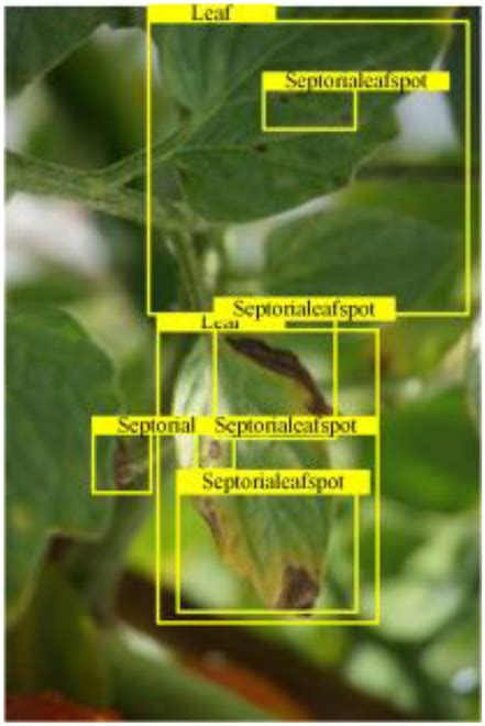 A Multi Modal Open Object Detection Model For Tomato Leaf Diseases With Strong Generalization