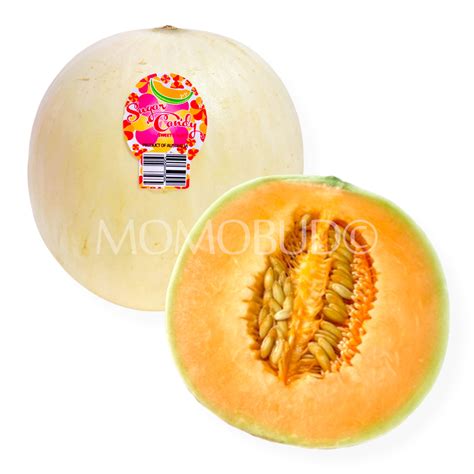 Sugar Candy Melon Large — Momobud