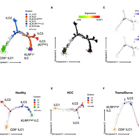 A Trajectory Plot Of Cells Analyzed By Scrna Seq Same Groups And