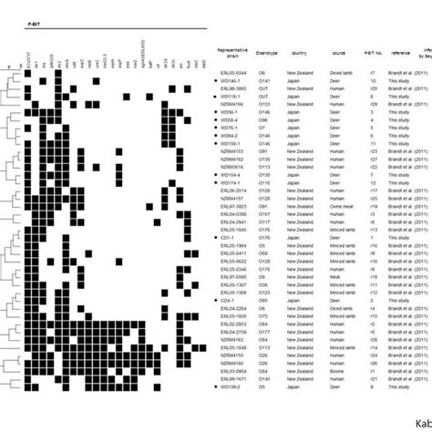 Dendrogram Of P Bit Analysis Using A Simple Matching Coefficient And