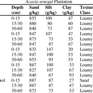 Mean Soil Physical Properties At Different Depths Under Download Scientific Diagram