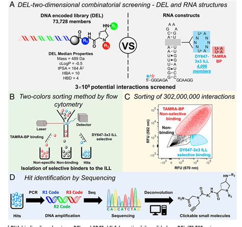 Figure 1 From Dna Encoded Library Versus Rna Encoded Library Selection