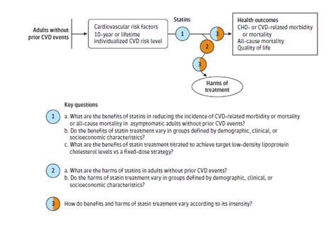 Evidence Summary Statin Use For The Primary Prevention Of