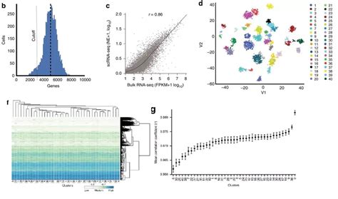 文献解读 10× Genomics单细胞转录组测序确定视网膜神经节细胞亚型 知乎