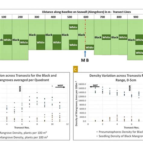 Summary Of The Spatial Variation In The Mangrove Species And Density