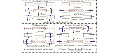 Schematic Diagrams Of Different Torsion And Tension Processes Download Scientific Diagram