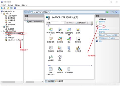 Javaselenium自动化测试无法登陆localhostphpwindindexphp网站的问题？java测试环境